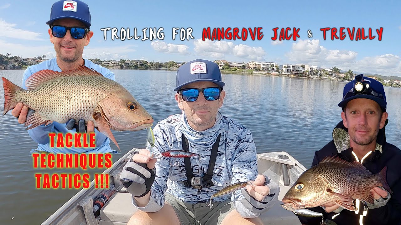 How to catch Mangrove Jack & Trevally trolling | Tackle, Techniques ...