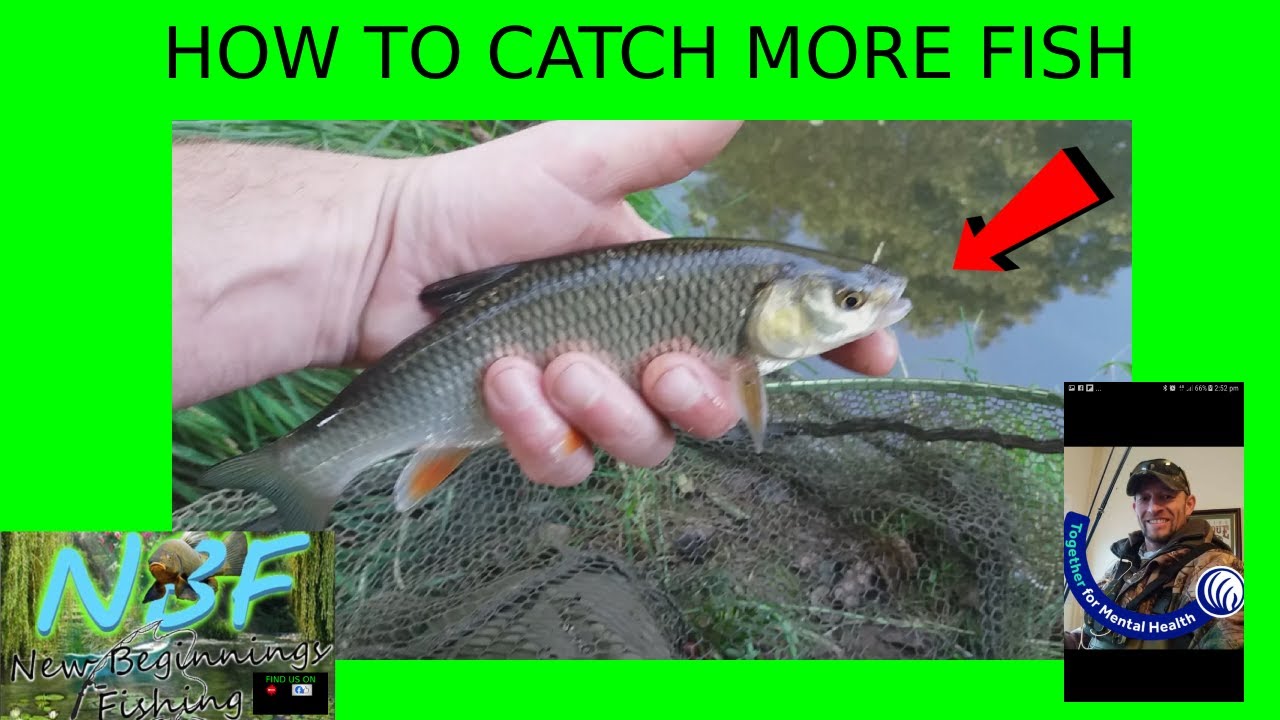 did i just catch a record fish, HOW TO CATCH MORE FISH river fishing ...