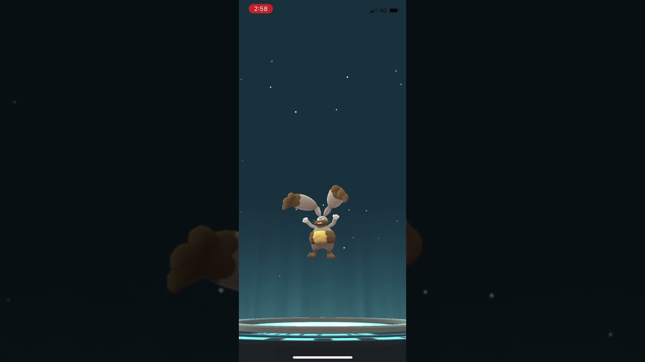 Bunnelby Evolution (Pokemon Go). - YouTube