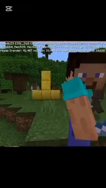 The Last Minecraft Trend - YouTube