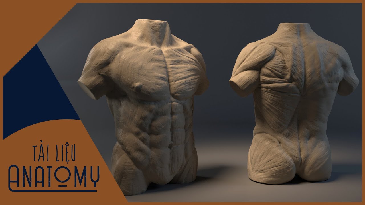 | Free Share | Tài liệu Anatomy và Sử dụng phần mềm gì để quản lí ...