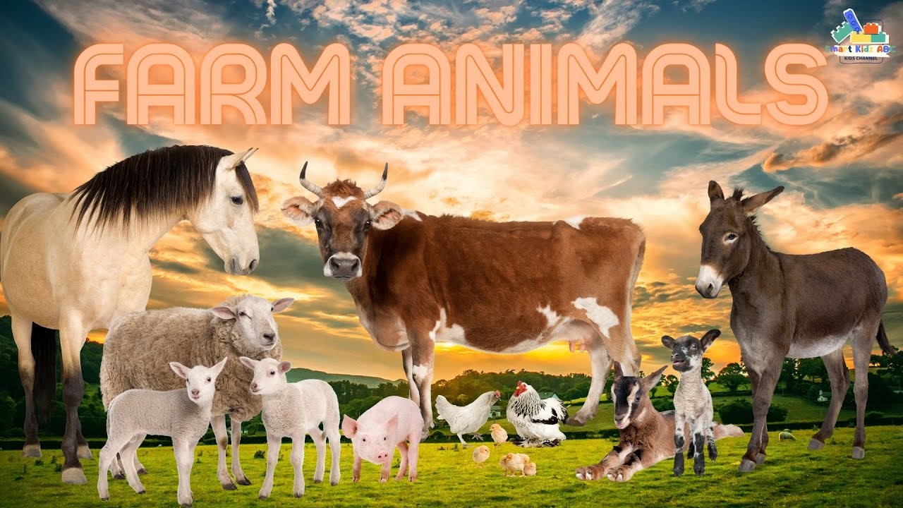 LEARN FARM ANIMALS | CHICKEN COW SHEEP | ALPHABET ABC 123 TODDLER - YouTube