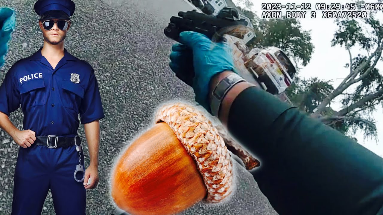 Florida Police Officer Mistakes Falling Acorn for Shots Fired………. - YouTube
