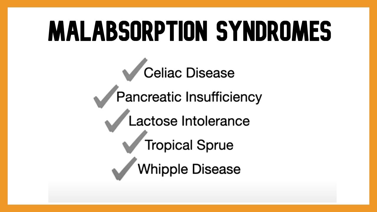 Malabsorption Syndromes - YouTube