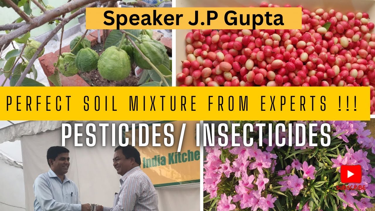 Soil Mixture is key to organic gardening!! Let’s unfold it’s components ...