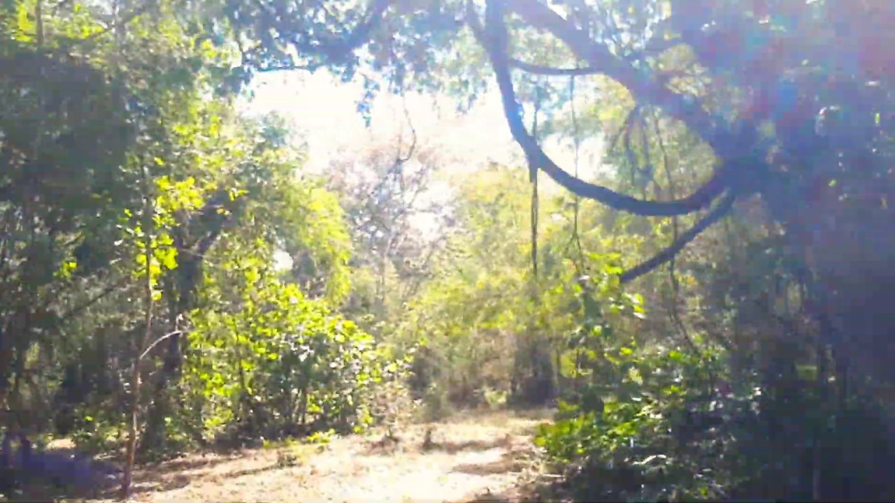 Forest Off-road Motorcycle Riding Mulchera To Etapalli Mukri Hill ...