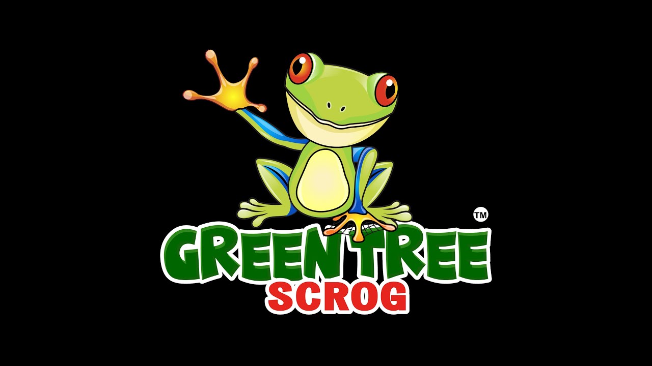 Easy-Scrog System | Scrogging without Netting | Never use Netting Again ...