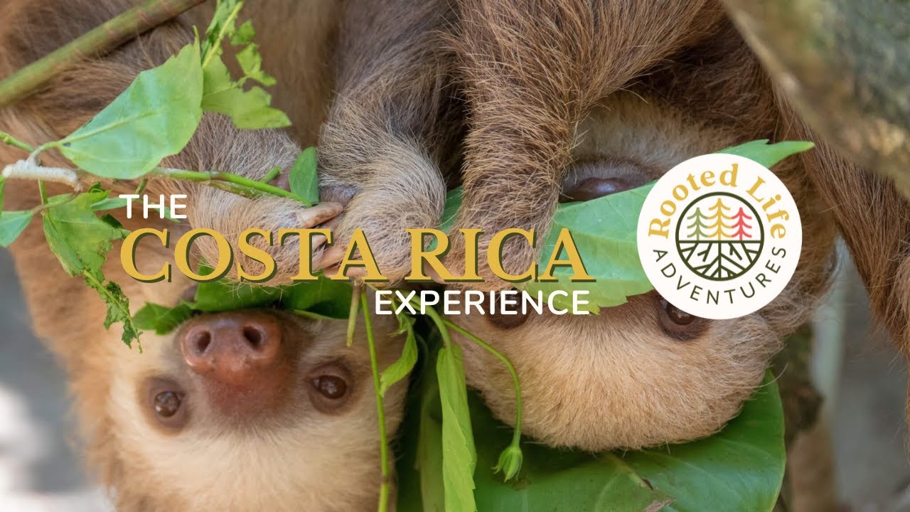 The Costa Rica Experience | Rooted Life Adventures - YouTube