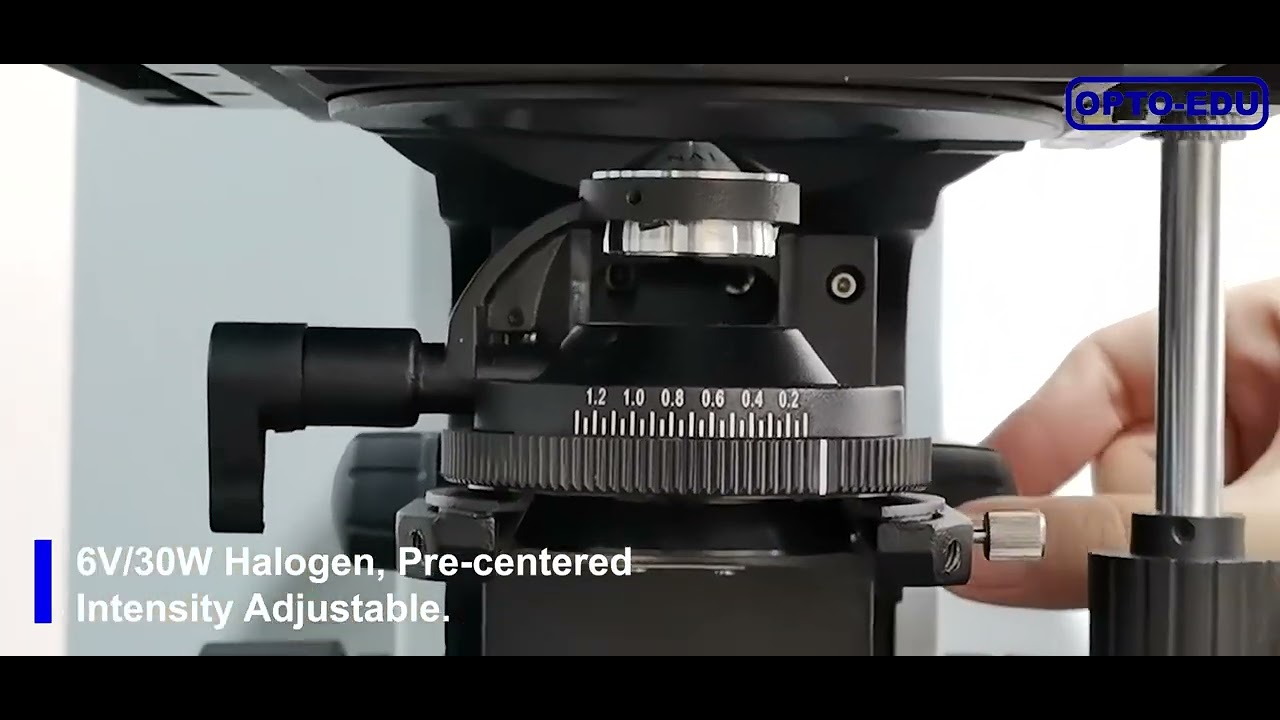 Laboratory Compound Optical Microscope with Infinity Trinocular Head ...