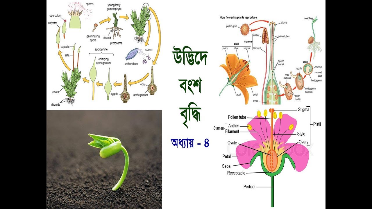 Class 8 Science Chapter 4 YouTube class-8-science-chapter-4-youtube