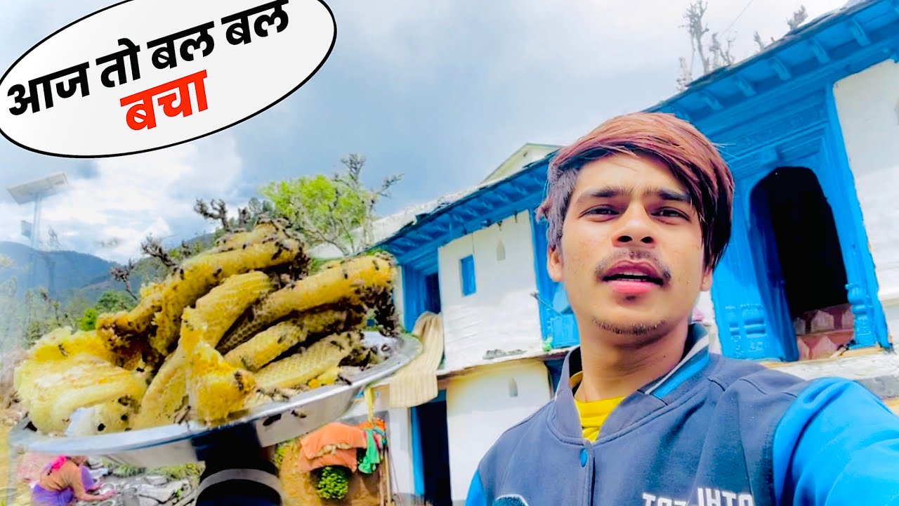 आज तो मधुमक्खियों ने काट ही दिया था 😲 | pahadi lifestyle vlog | pahadi ...