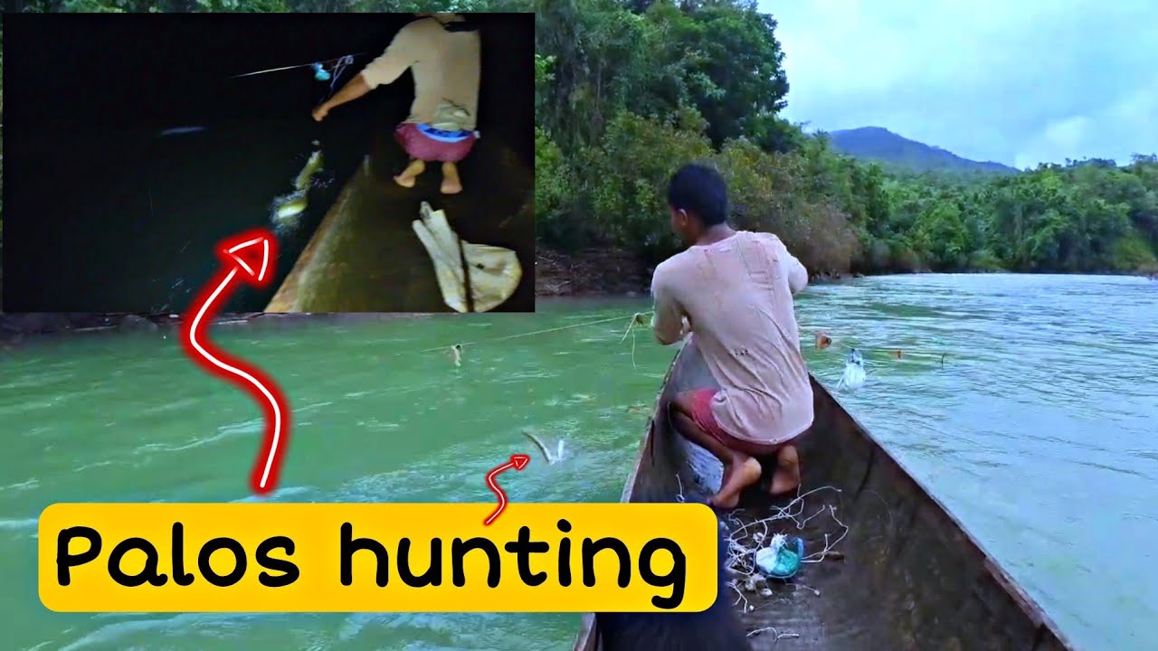 Palos Hunting| Buhay Probinsya | Countryside Life PH - YouTube