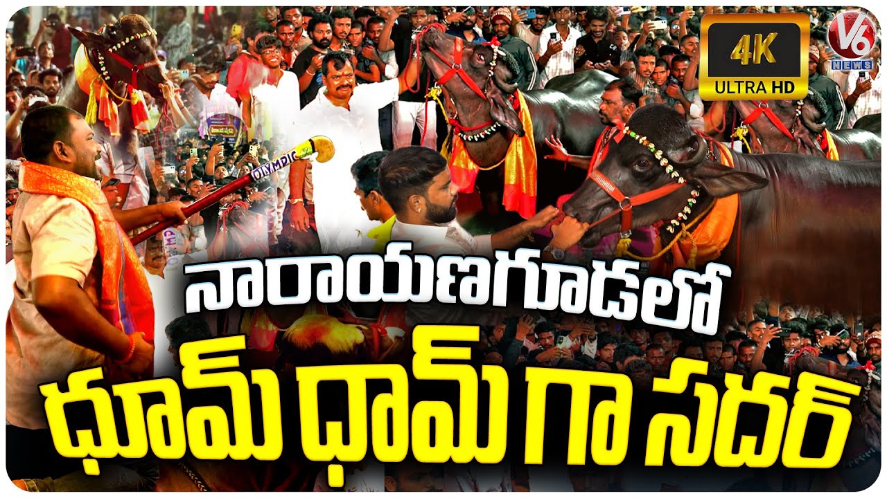 Sadar Festival Celebrations At Narayanguda | 4K Video | Hyderabad Sadar ...