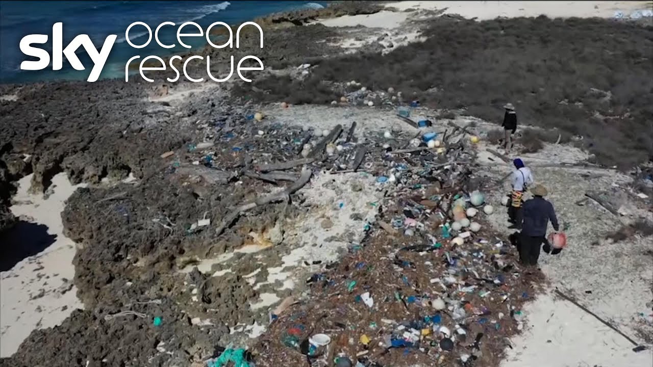 Deep Ocean Live: the clean-up begins - YouTube