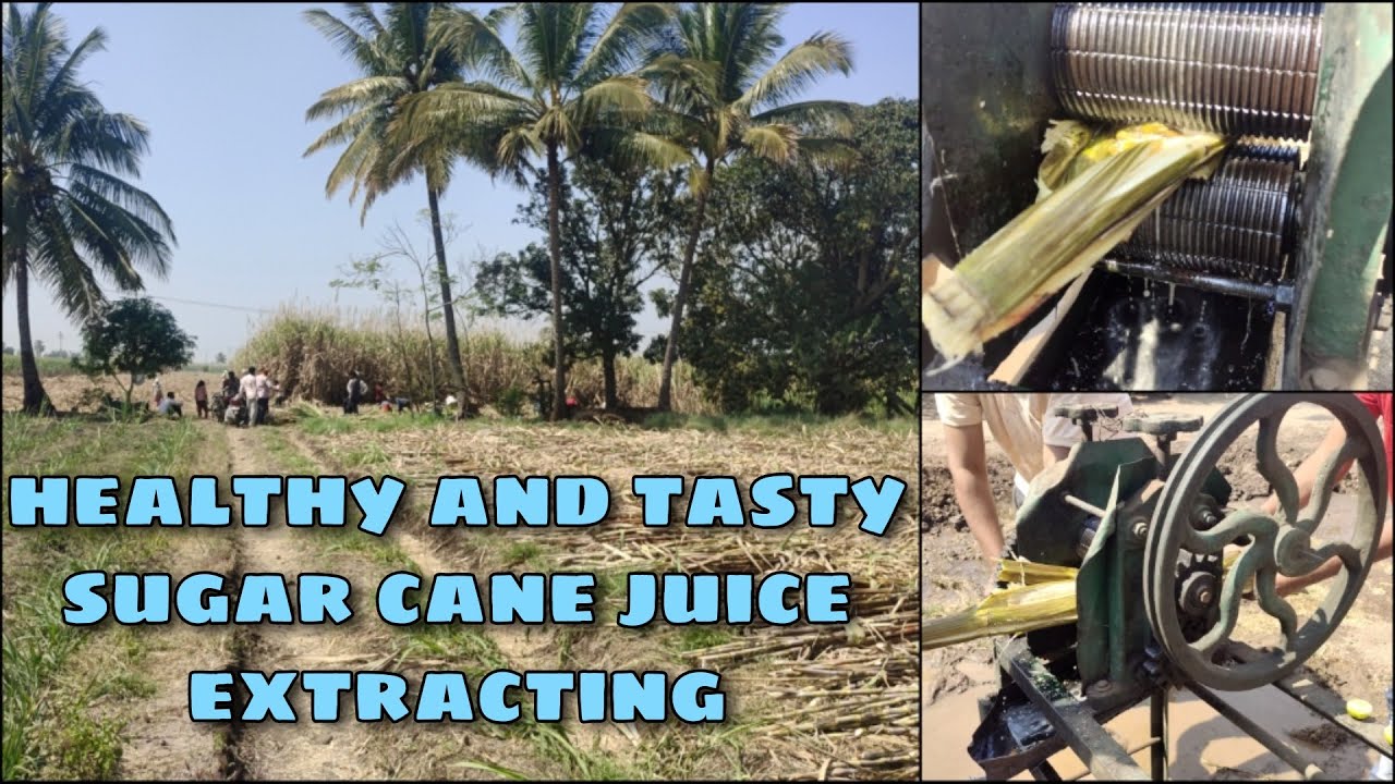 Healthy and tasty sugar cane juice ️juice extracting | village style ...