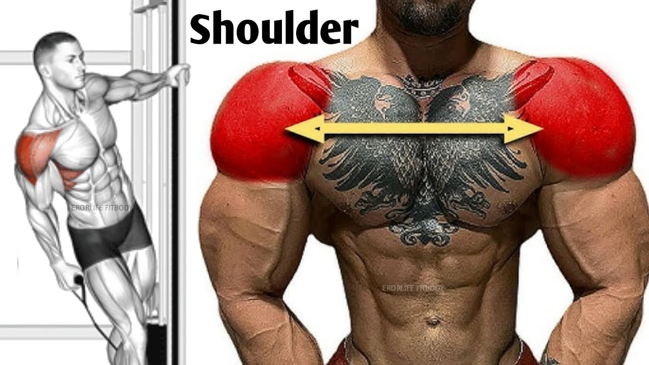 Build Your Shoulder Rounded - 8 Effective Exercise | ERORLIFE FITBODY ...
