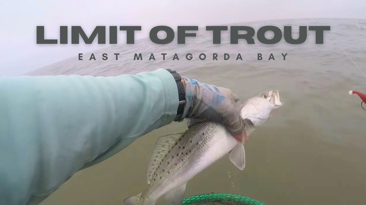 Wade fishing for a limit of trout! - YouTube