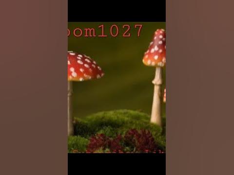 Python feeding time Part 2 : The Main Dish - YouTube