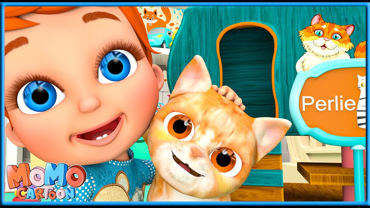 Petit Chat 😻 + PLUS de Comptines et de Chansons pour Enfants | Momo ...