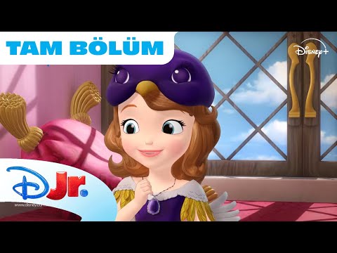 Biraz Kalabalık Olduk | Prenses Sofia | @DisneyPlusTR