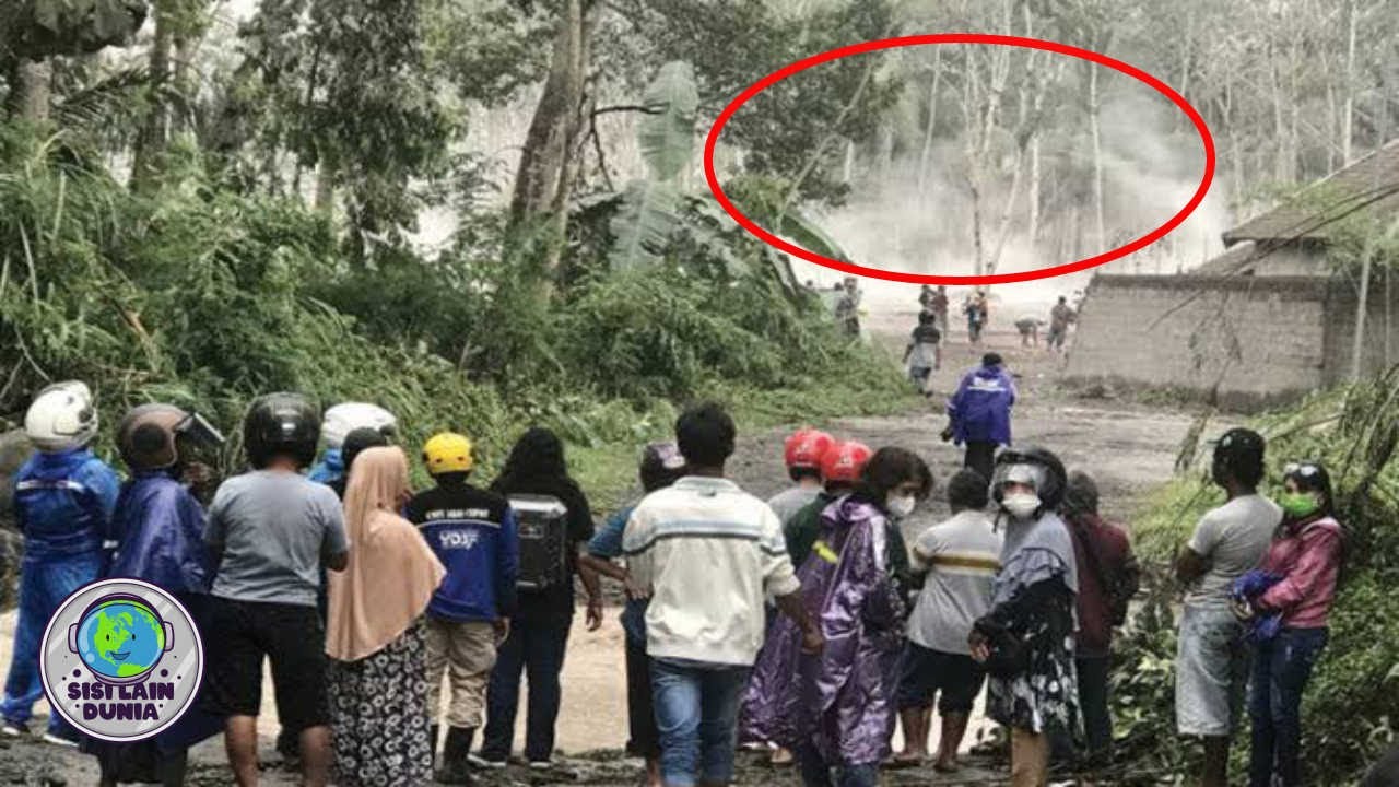 Tiba² Muncul Dari Dalam Hutan,Fenomena Alam Mengerikan ini Buat Warga ...