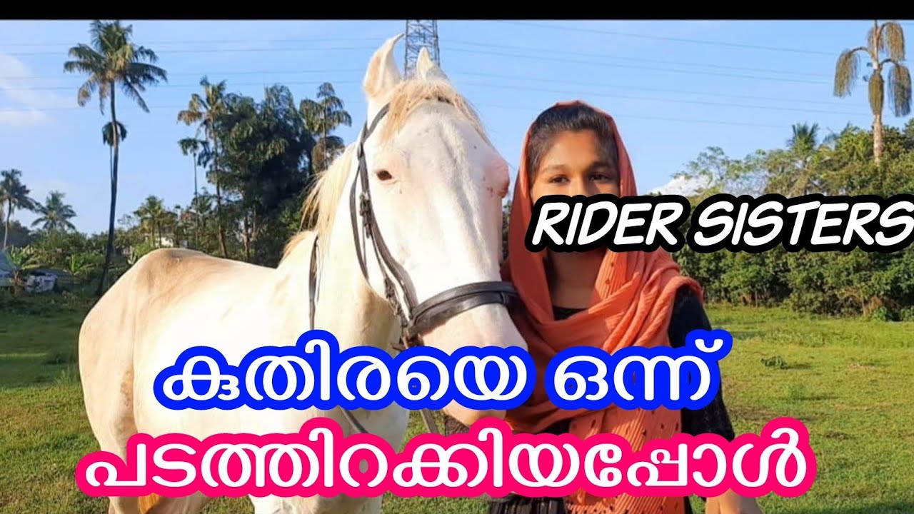 കുതിരയെ ഒന്ന് പാടത്തിറക്കിയാലോ|#horse|RIDER SISTERS - YouTube