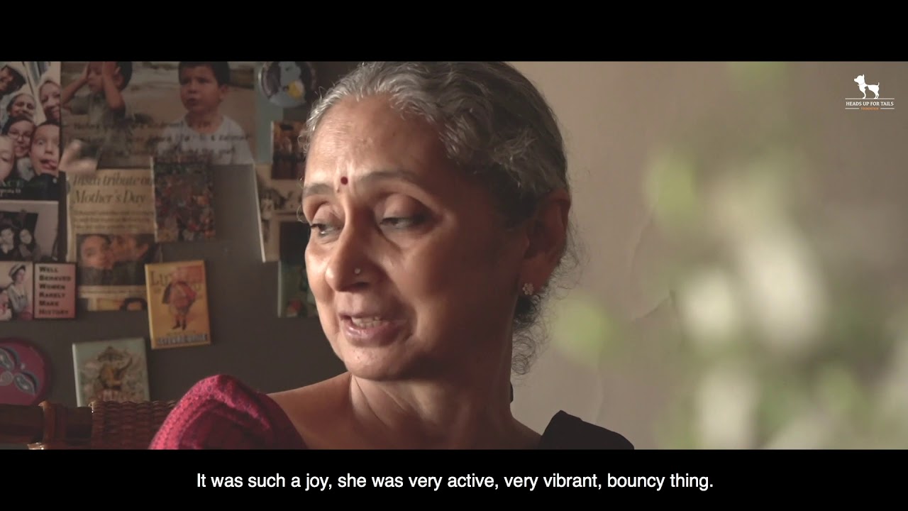 Beautiful story of Vidya Rao and Sufi - YouTube