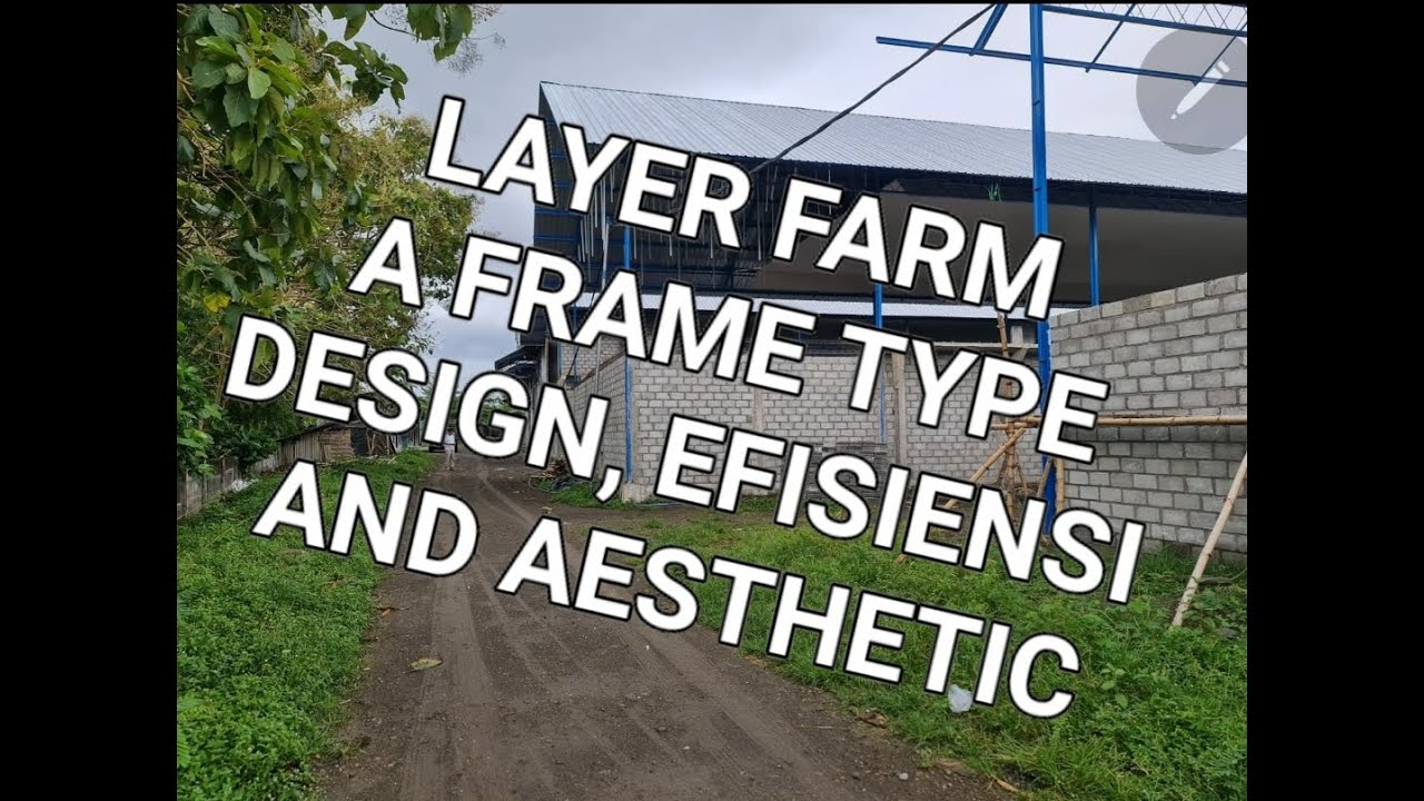 Layer farm A frame, design efisiensi dan aesthetic - YouTube
