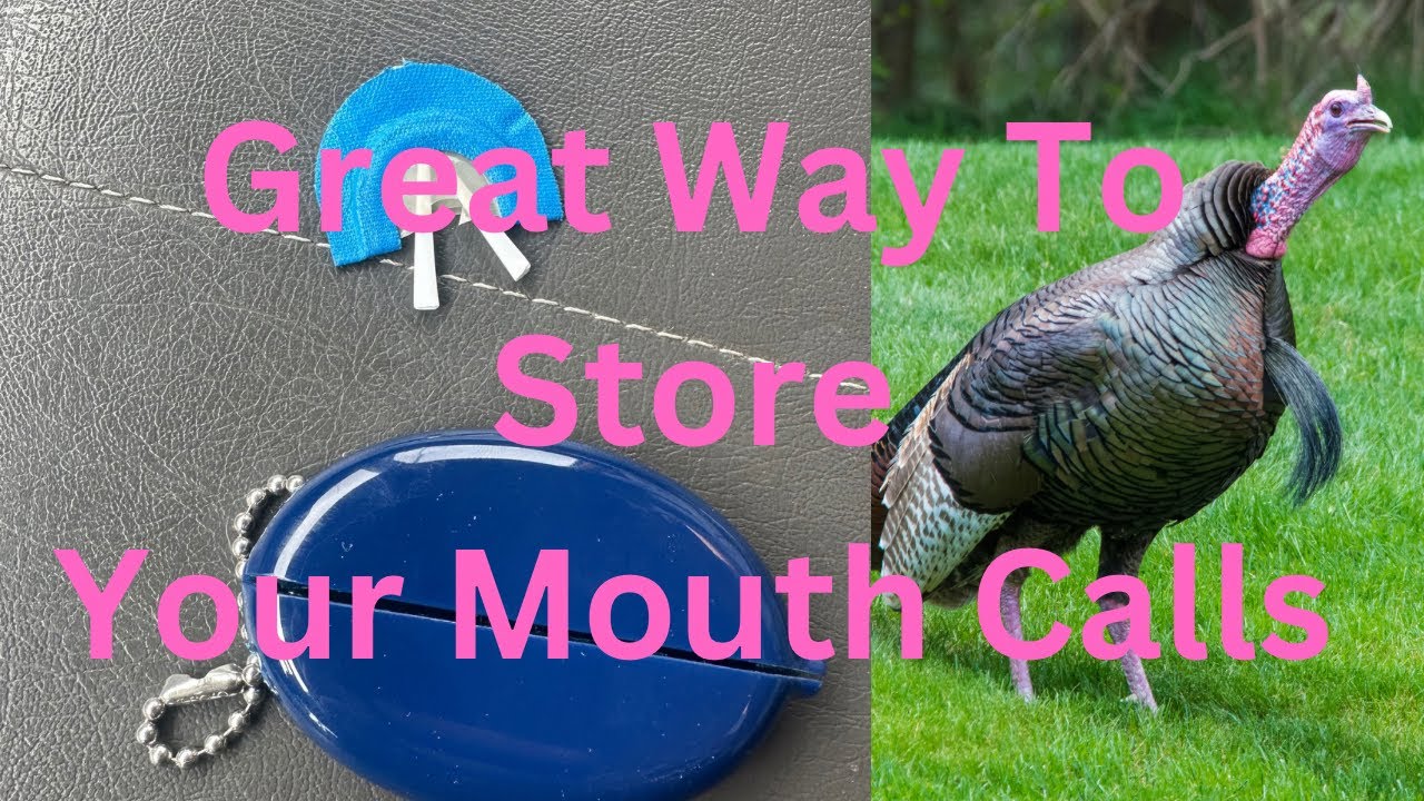 Mouth Call Management For Turkey Hunting #hunting #turkey #call - YouTube