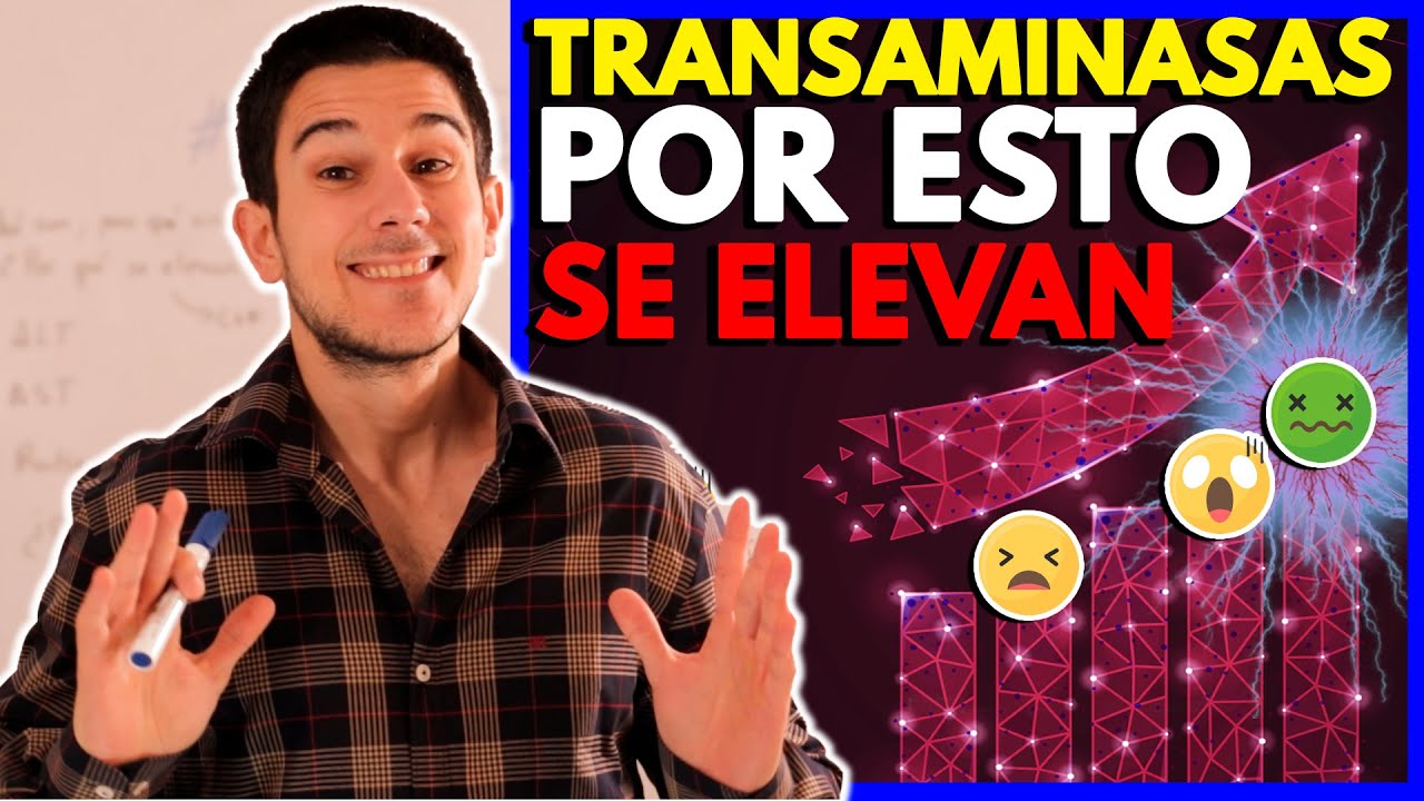 TRANSAMINASAS: ¿Qué Son? ¿Por Qué Las Tengo ELEVADAS? *Guía Completa ...