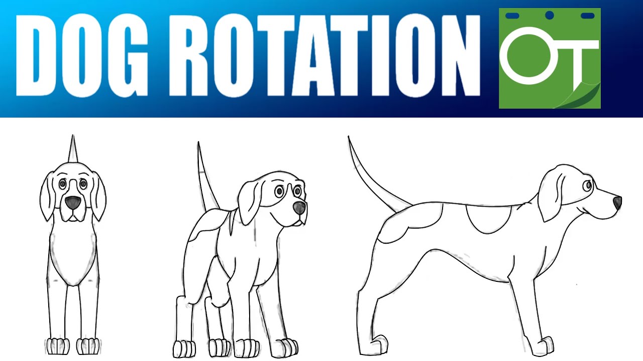 Dog Character Rotation/2D Animation - Opentoonz - YouTube