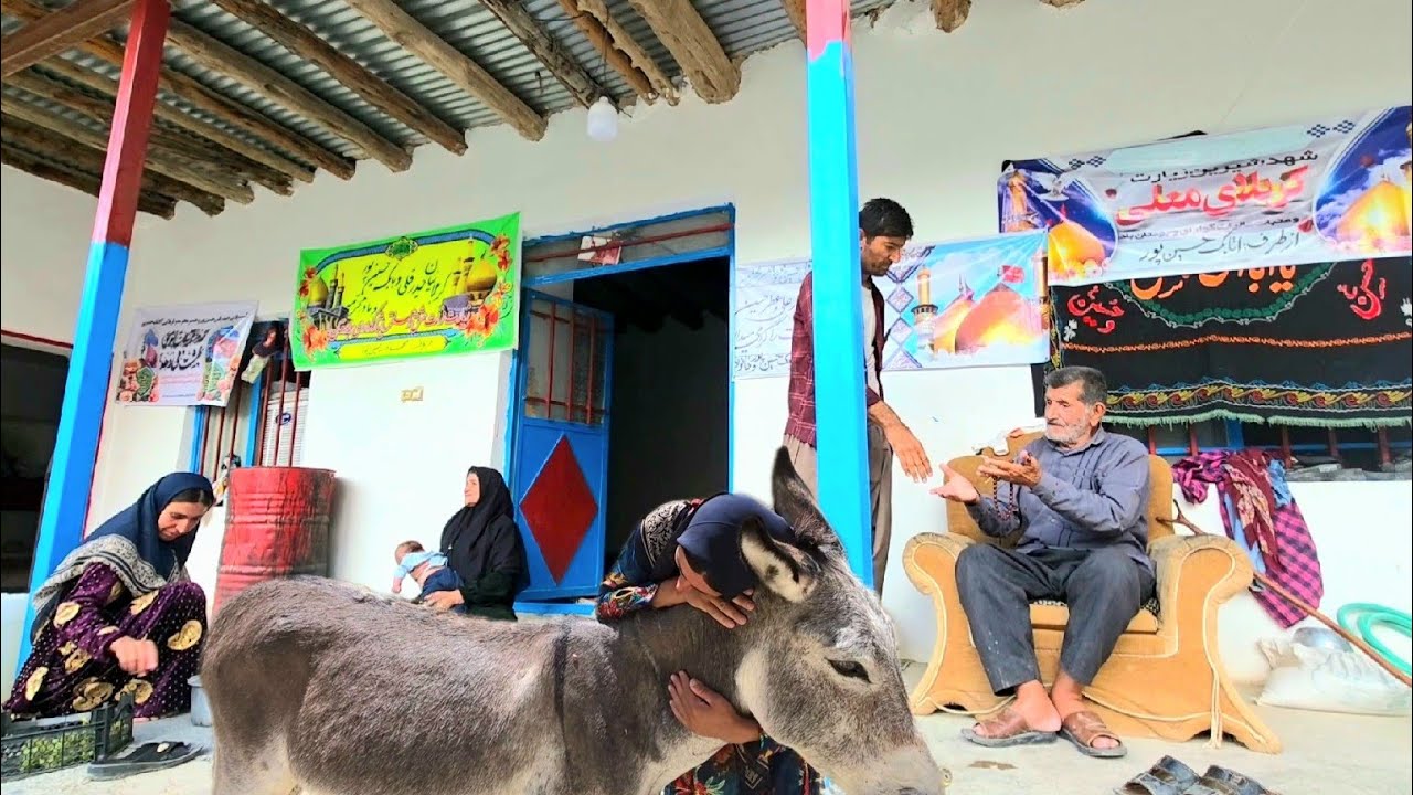 Finding a lost donkey after a long time: A trip to the village and ...