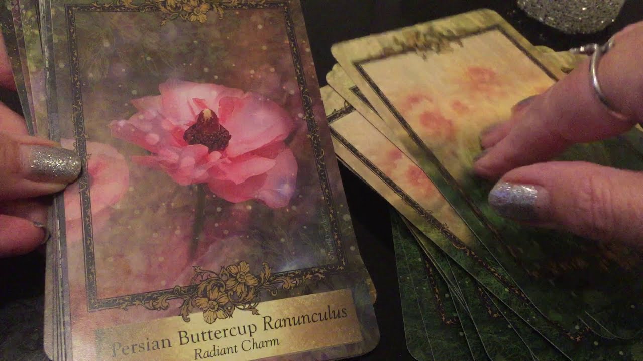 Alchemy Flower Oracle Cards-Close Up Review plus bonus reading! JUST ...