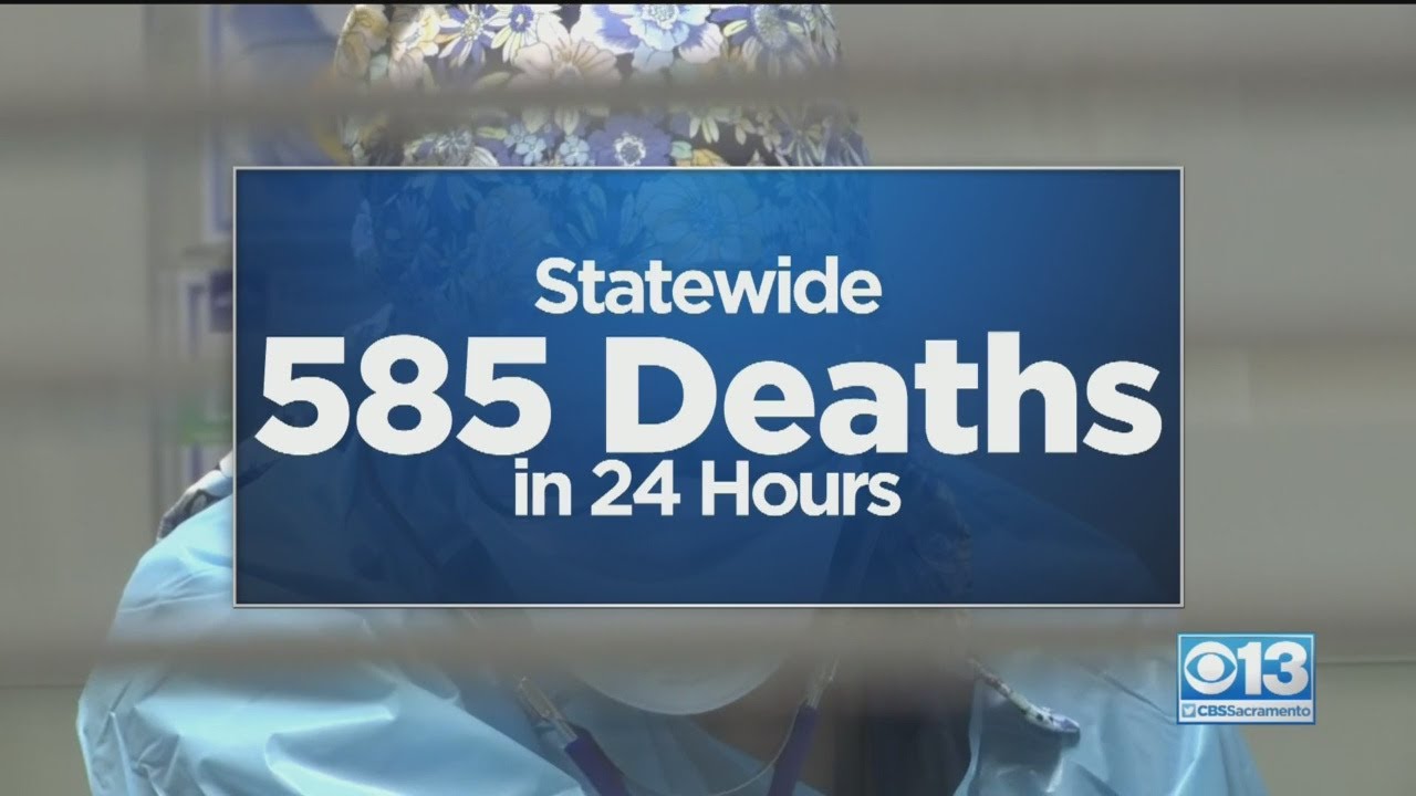 California Hits New Daily Record For Coronavirus Deaths - YouTube