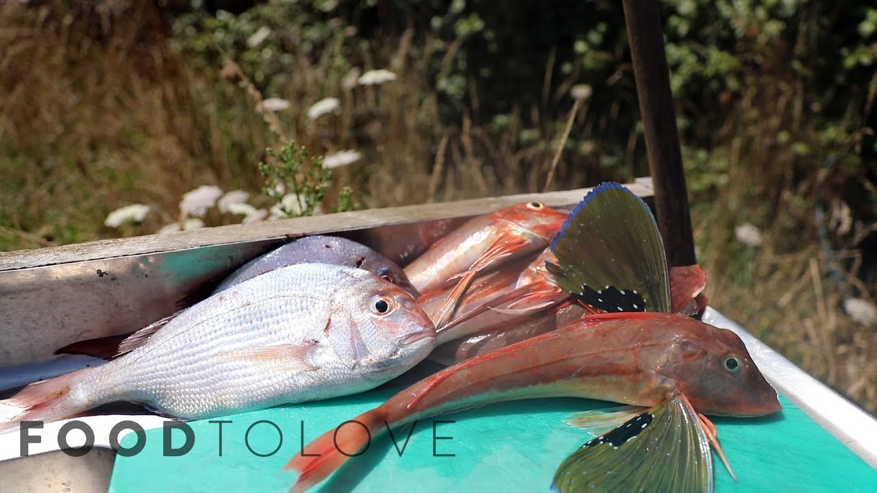 Fresh Feed, Living off the land in Taranaki | Food to Love - YouTube