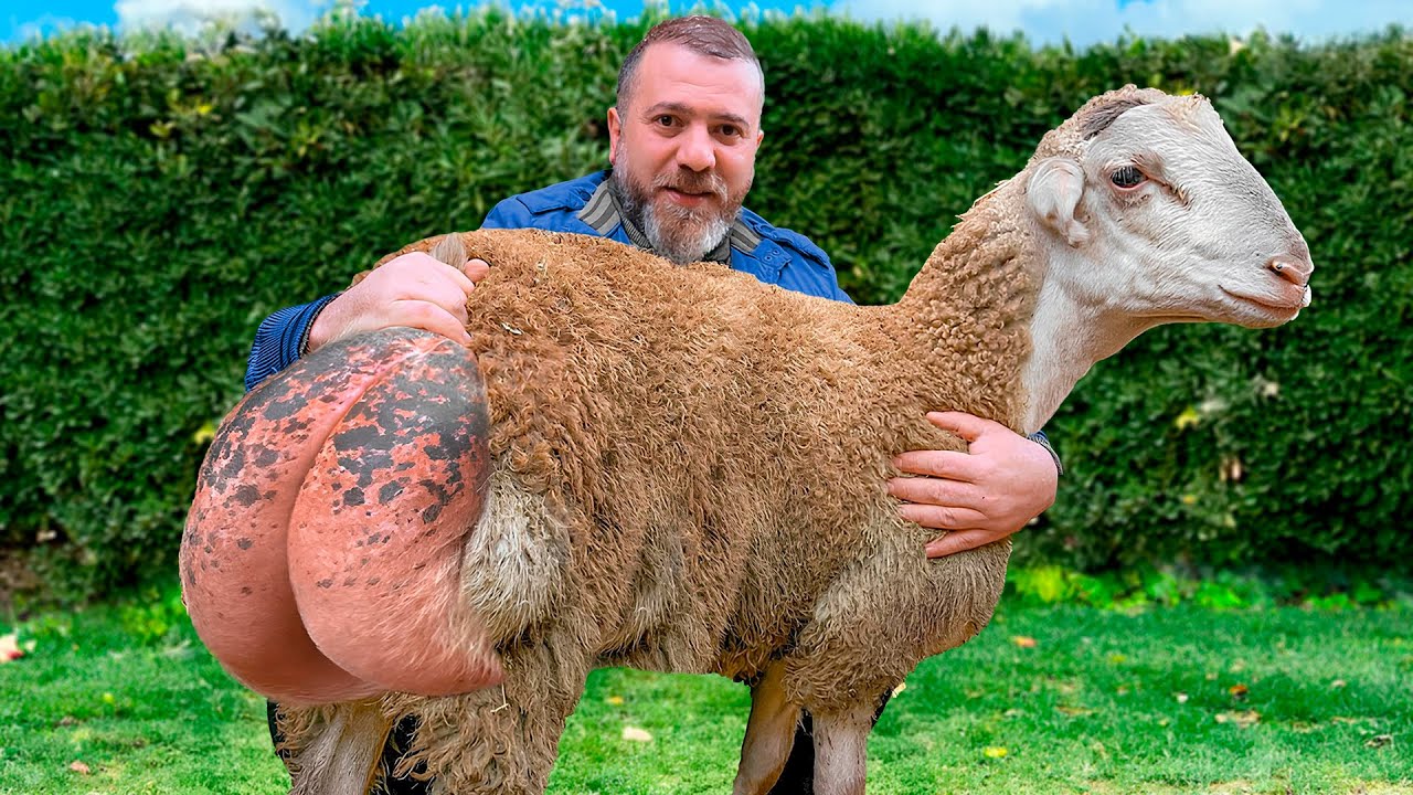 Ancient Lamb Soup 🍲🔥 – Cooked in Clay Pots for Unbelievable Flavor ...