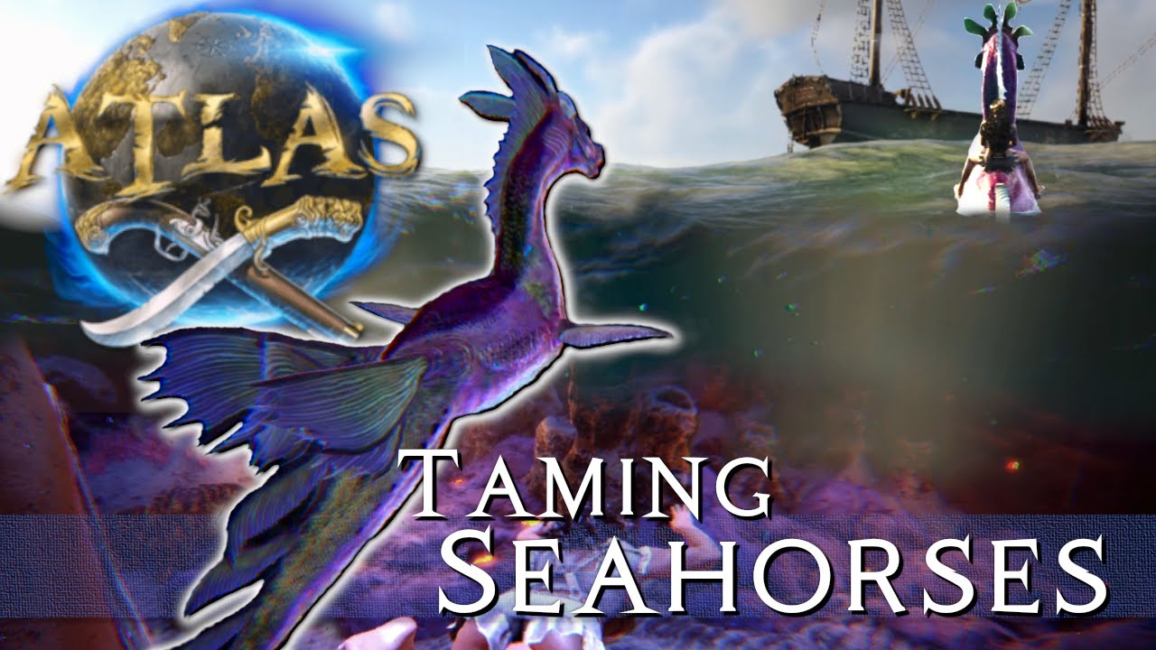 Taming Seahorses in ATLAS! - YouTube