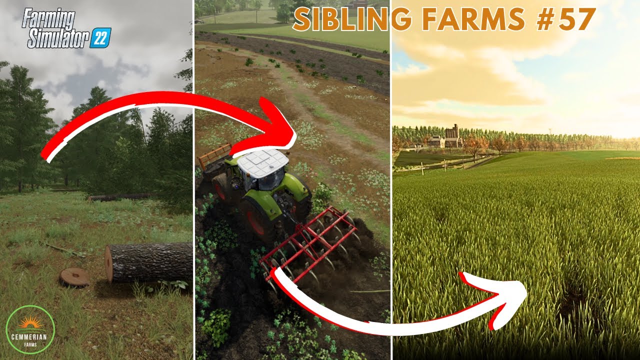 Sibling Farms #57 - Transforming a Wooded Lot into a Flourishing Wheat ...