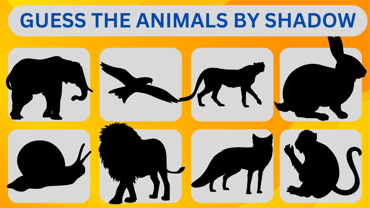 Guess the animals Quiz_ can you recognize the animal by its shadow? let ...