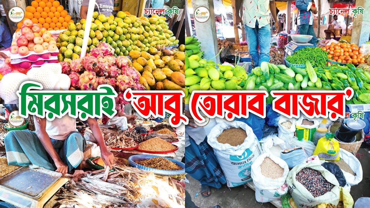 Abu Torab Bazar | আবু তোরাব বাজার | Mirsorai | মিরসরাই | Krishi Vlog ...