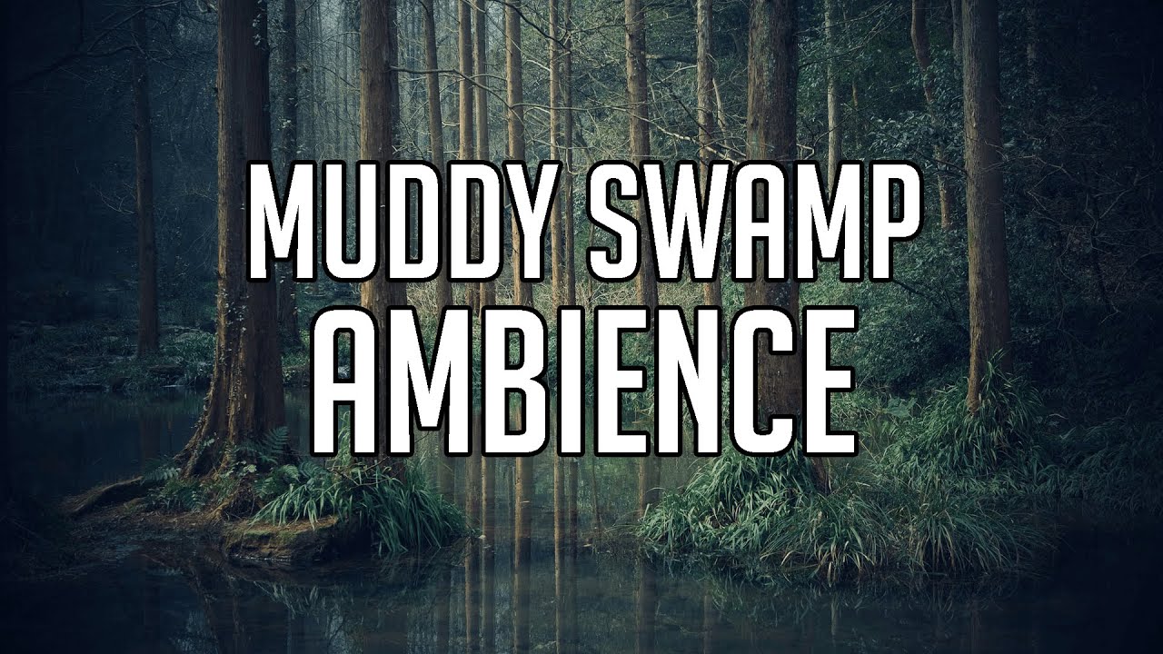 Walking Through a Muddy Swamp | Relaxing Ambience [3 HOURS] - YouTube