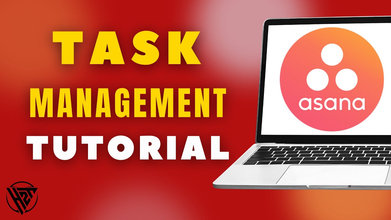 How To Use Asana For Task Management - YouTube