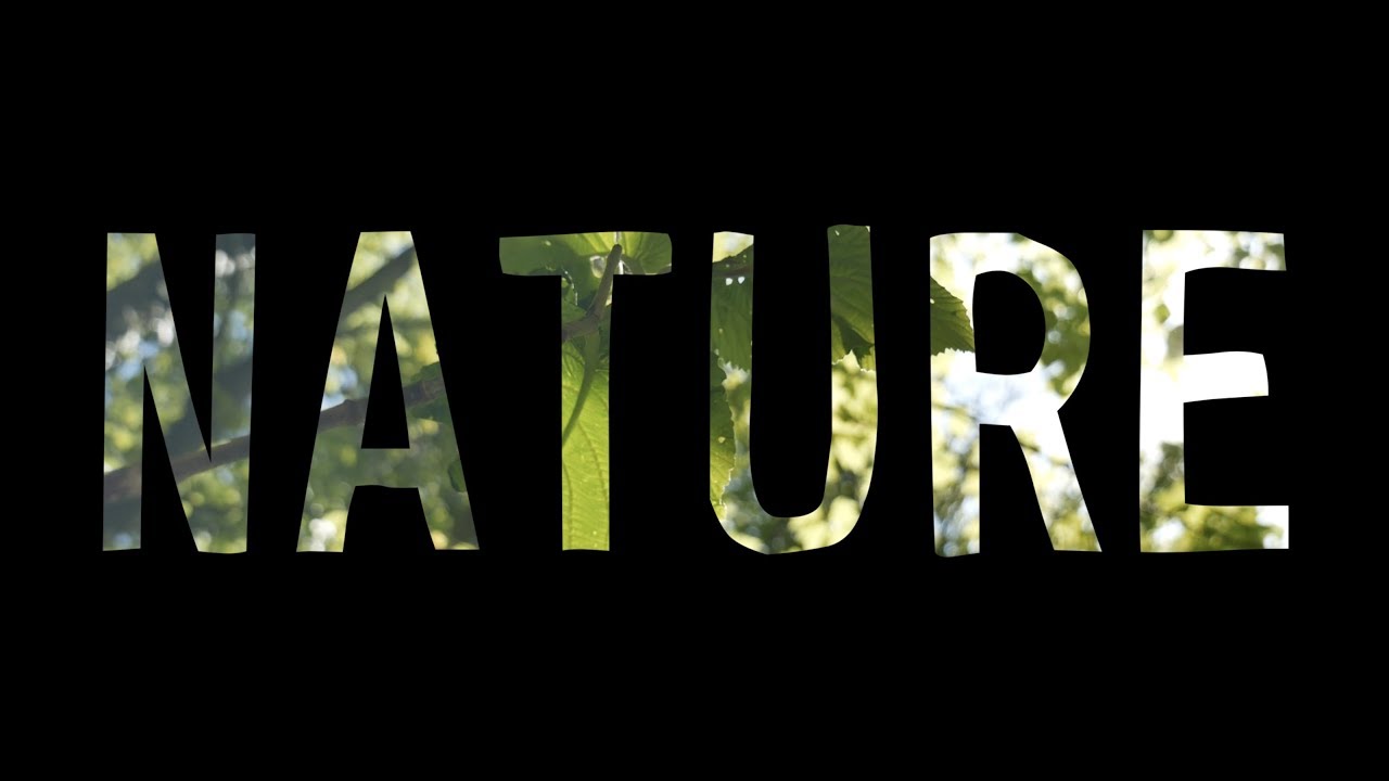 Nature s Numbers YouTube nature-s-numbers-youtube