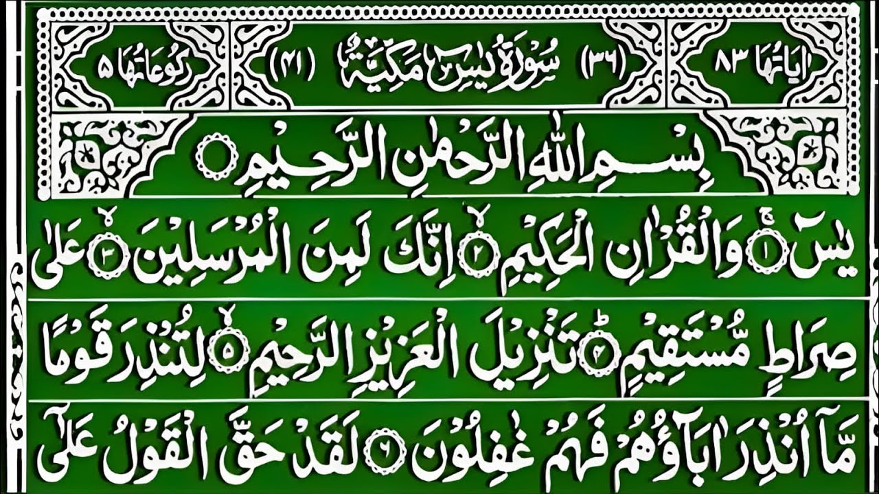 Surah Yaseen | Episode 144 | Daily Quran Tilawat Surah Rahman Surah ...