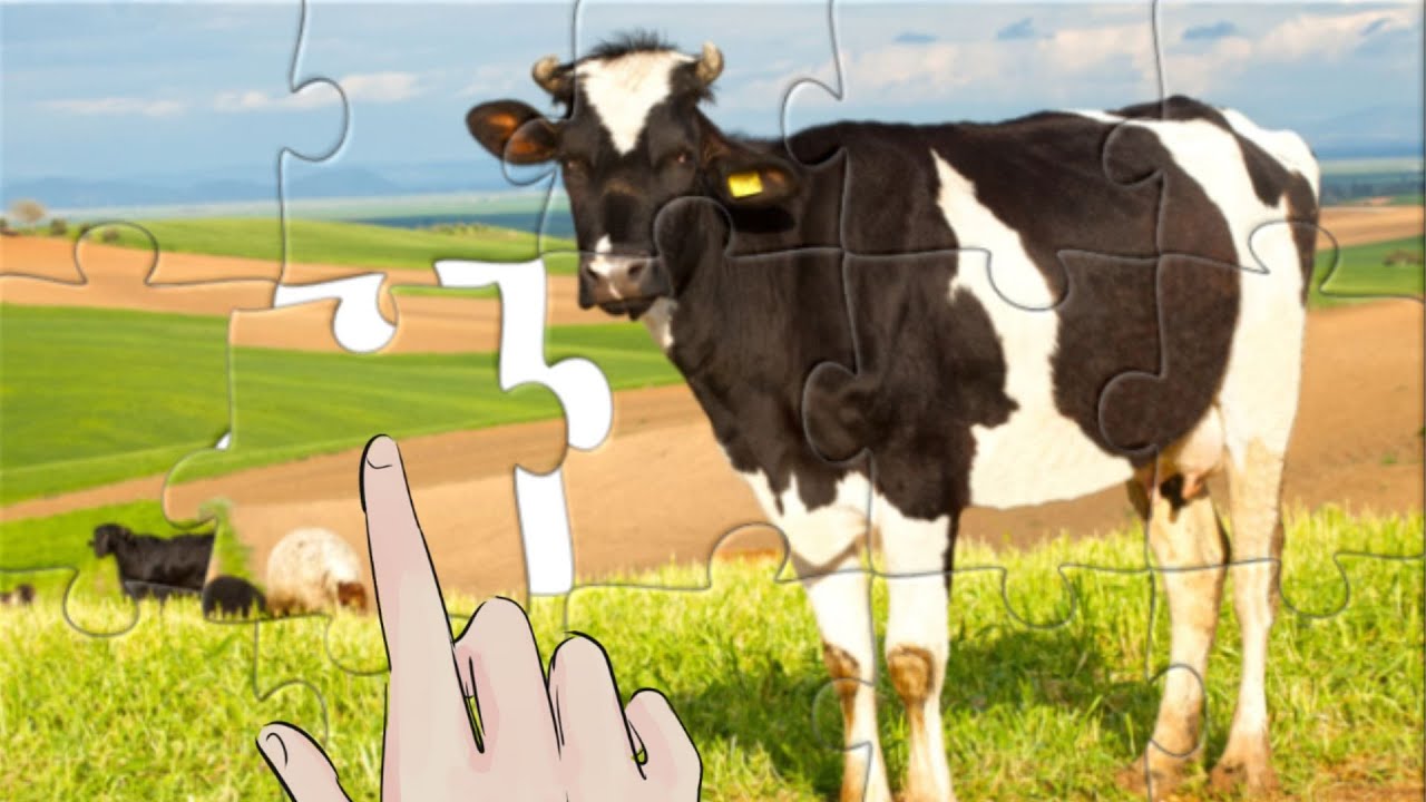 Farm Animals Puzzle Game for Kids | Learn Farm Animals with Fun - YouTube