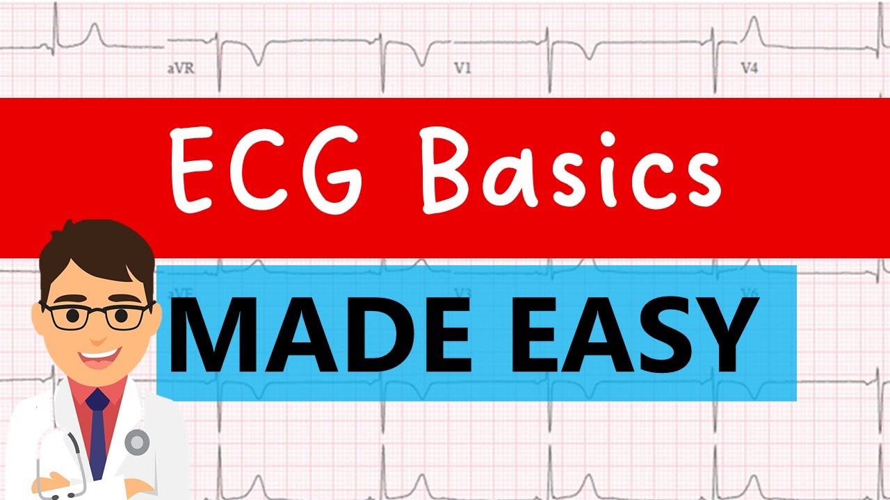 ECG basics | EASY GUIDE FOR MEDICAL STUDENTS! - YouTube