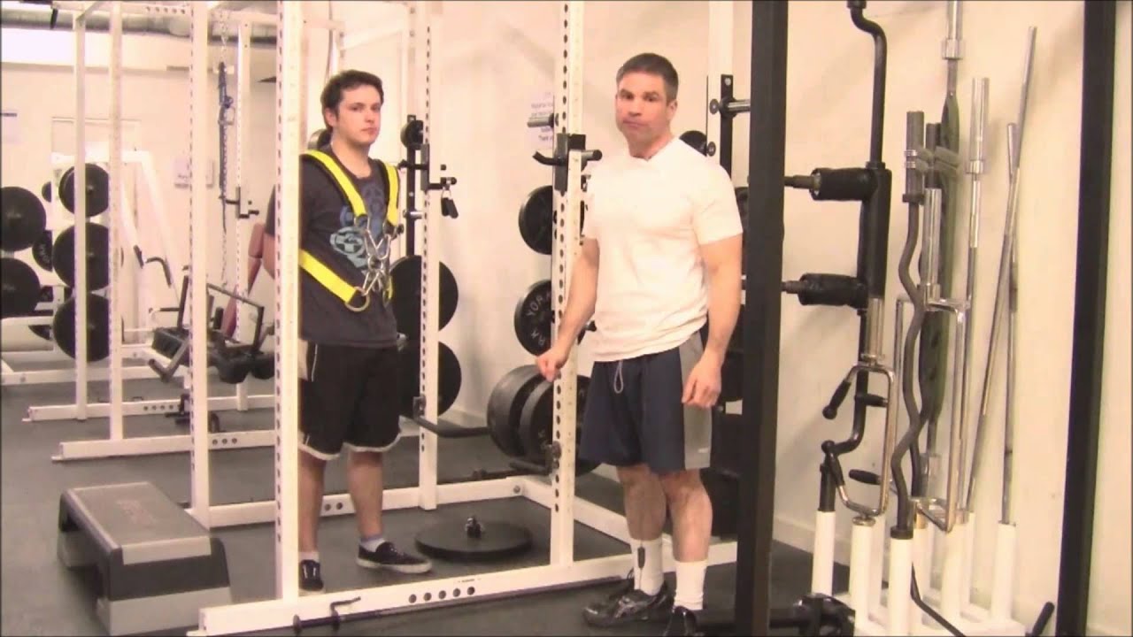 Fortis Fitness Weighted Push Up Harness - YouTube