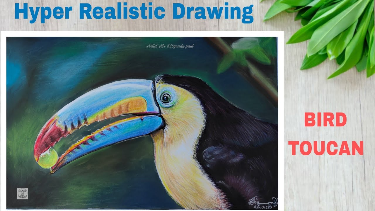 Drawing a Toucan Bird.....so realistic with pencil colors/ Tutorial for ...