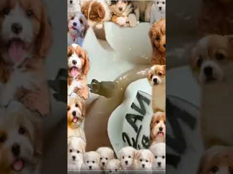 ВЫДАВЛИВАНИЕ ПРЫЩЕЙ ЧИСТКА КОЖИ 🔥🔥