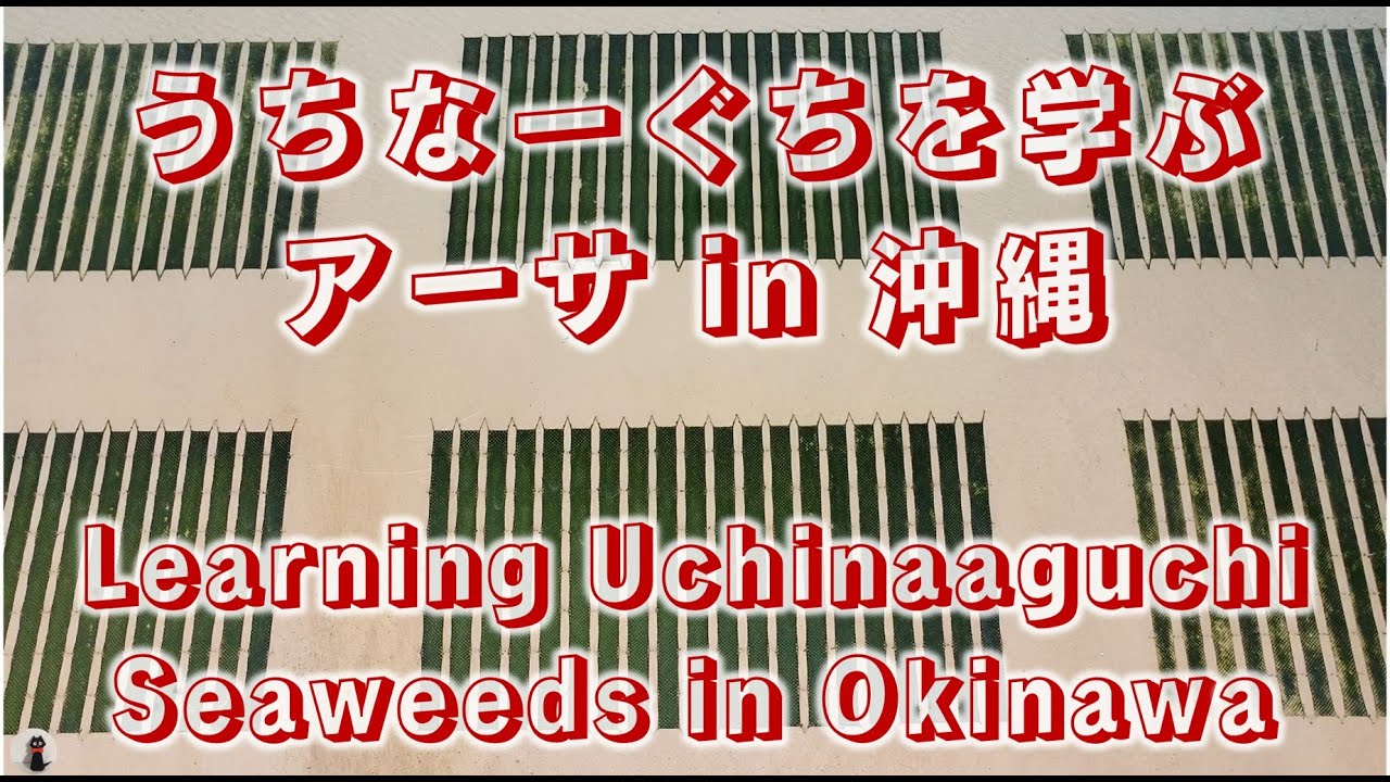 うちなーぐちを学ぼう！沖縄 海苔 Learning Uchinaaguchi! Seaweeds in Okinawa - YouTube